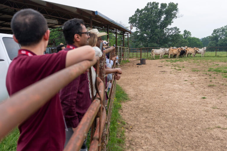 Extension Programs - Department of Animal Science